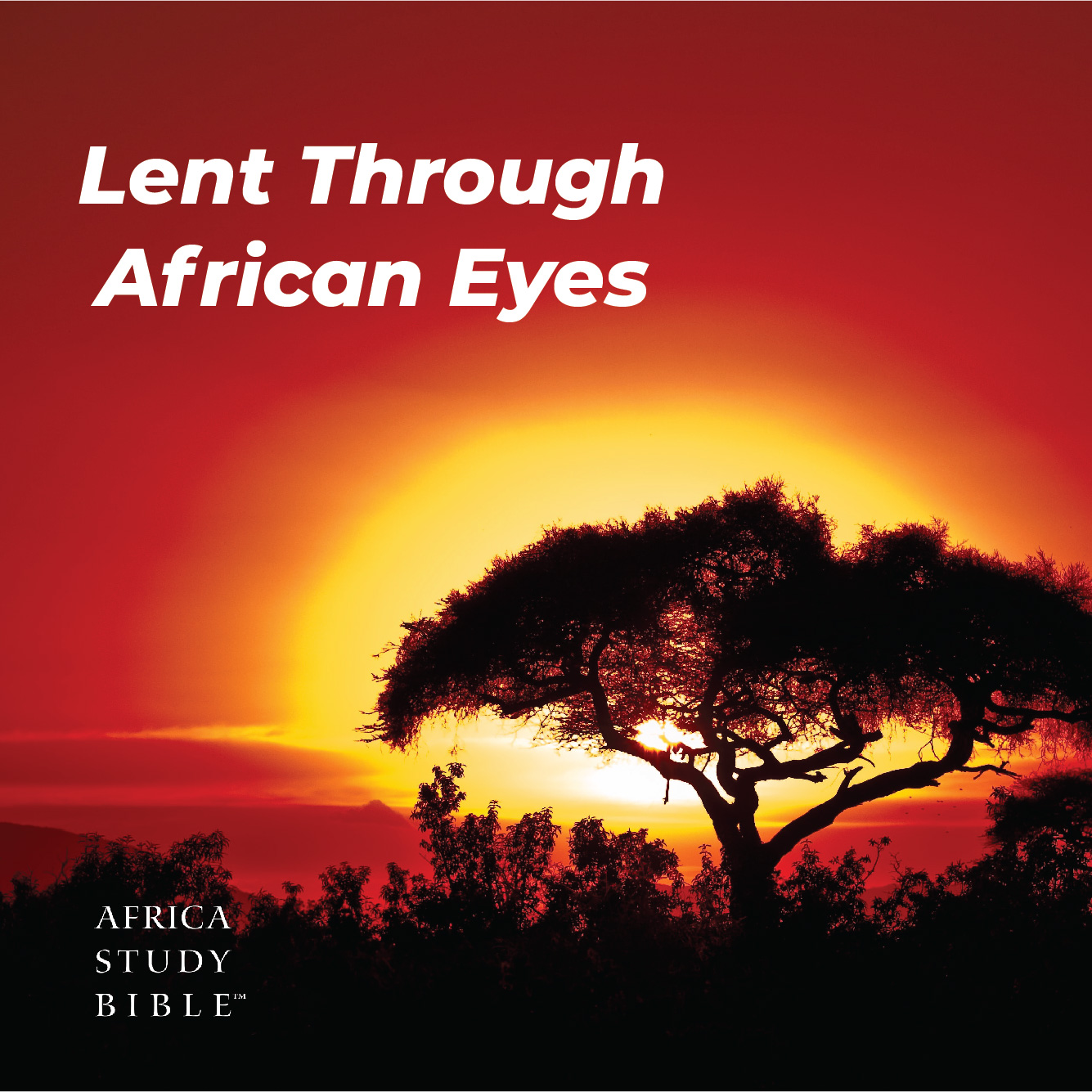 Devotionals - Oasis International