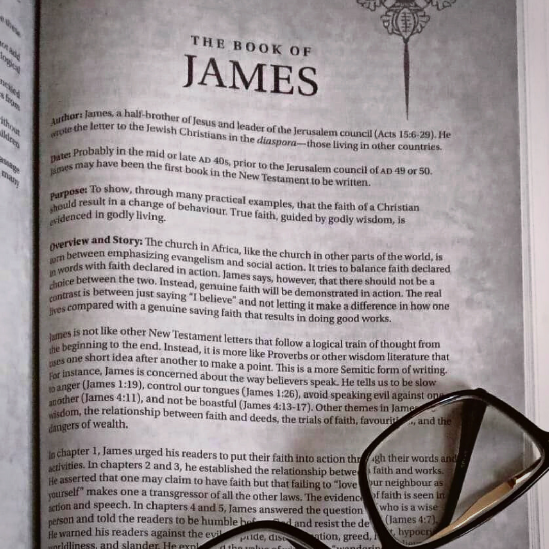 Wisdom Is Irreplaceable - Oasis International Publishing